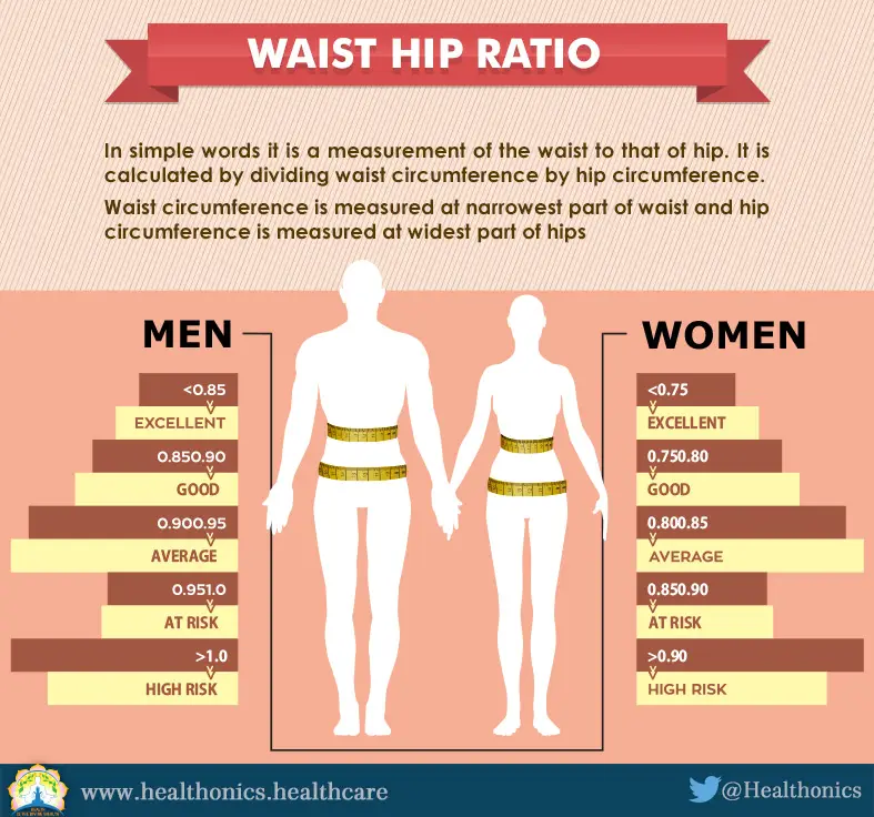 Hip To Waist Chart